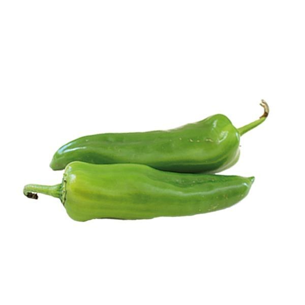 CHILE CHILACA [3361] : Comercial Treviño